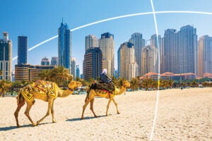 Home - Alltech ONE World Tour